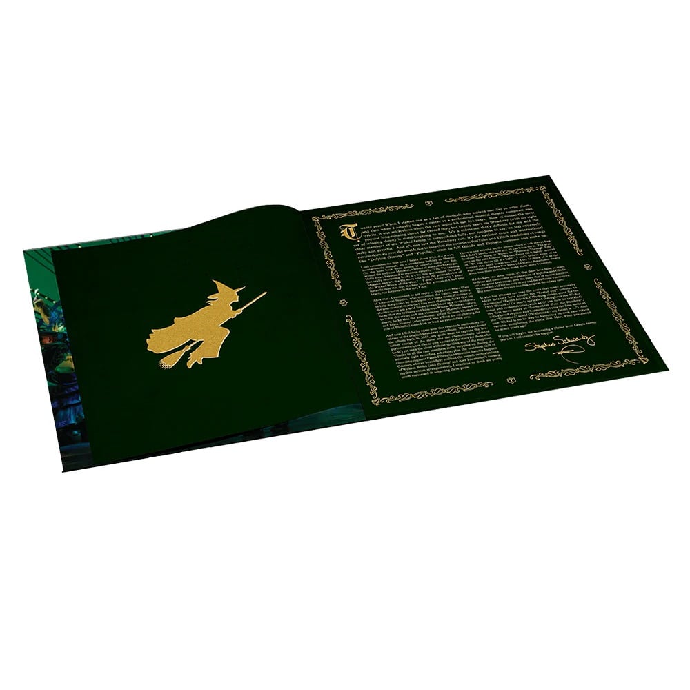 Wicked 20th Anniversary Exclusive Wicked Green Color 2x Vinyl LP – Vinceron