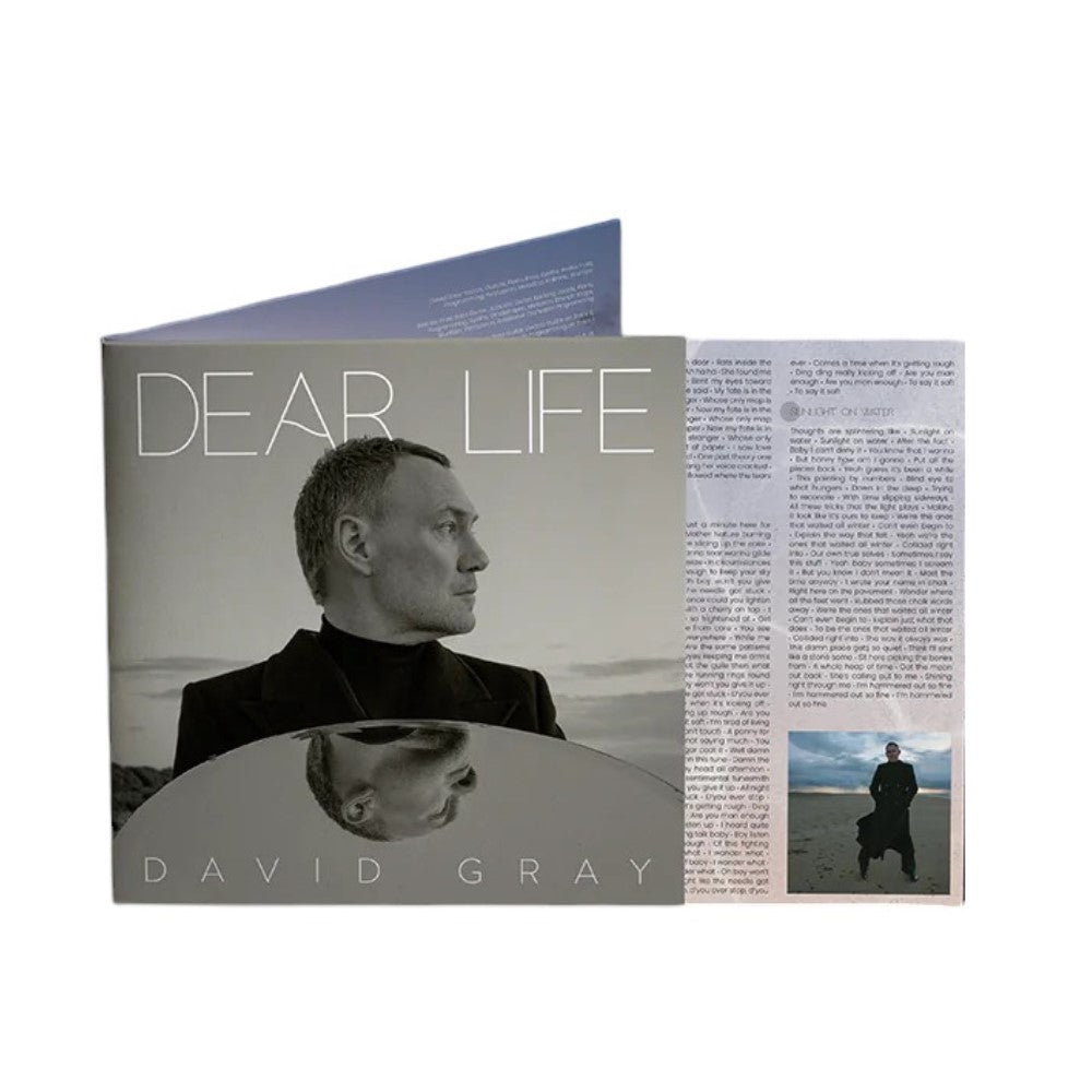 David Gray - Dear Life Exclusive Olive Green Vinyl 2x LP – Vinceron